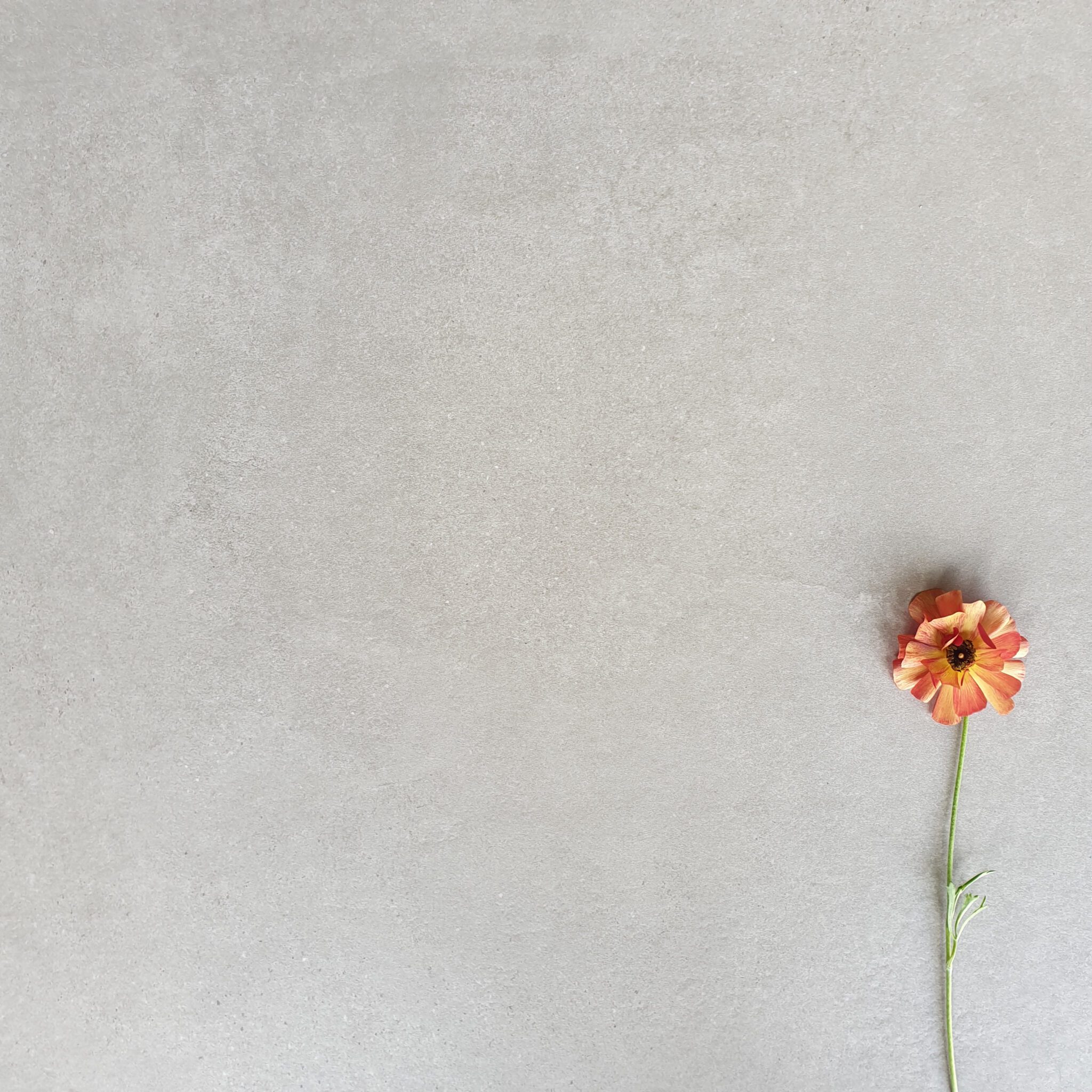 Spazio Grigio Matt Tile | 600mm x 600mm - Tile Warehouse